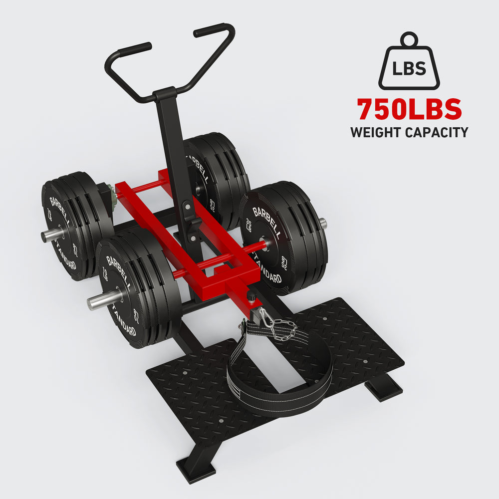 GMWD Belt Squat Machine 750lb Adjustable Plate-loaded Lower Body ...