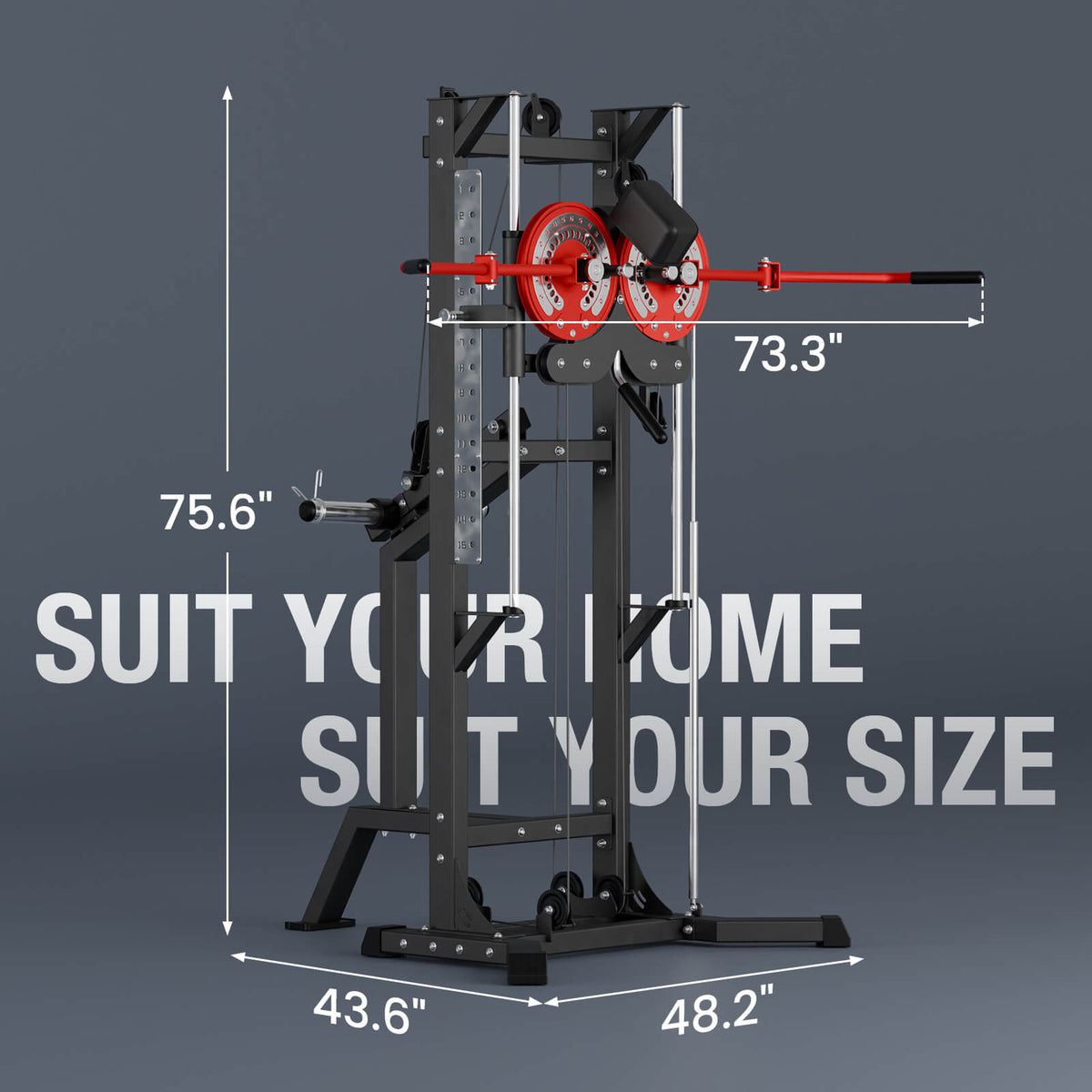 GMWD Lateral Raise & Adjustable Standing Multi-Flight Machine CPJ Deltoid, LAT, and Chest Home ...