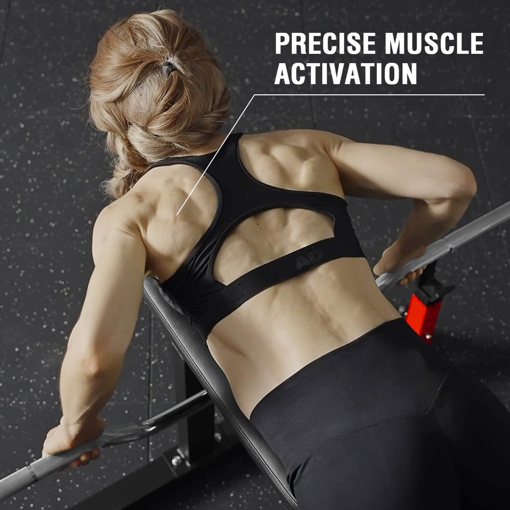 GMWD Seal Row Bench Muscle Isolation No Cheating Lower Back Friendly