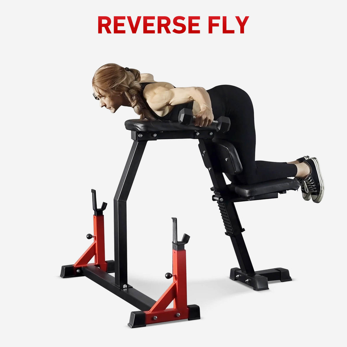 GMWD Seal Row Bench, Multi-functional Back Extension Machine