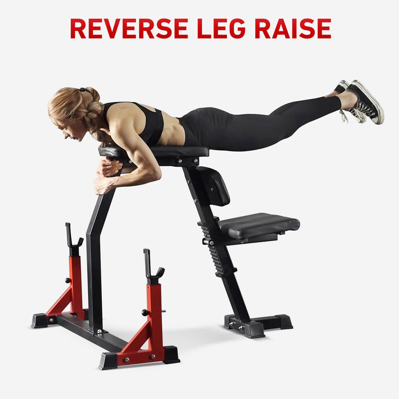 GMWD Seal Row Bench, Multi-functional Back Extension Machine