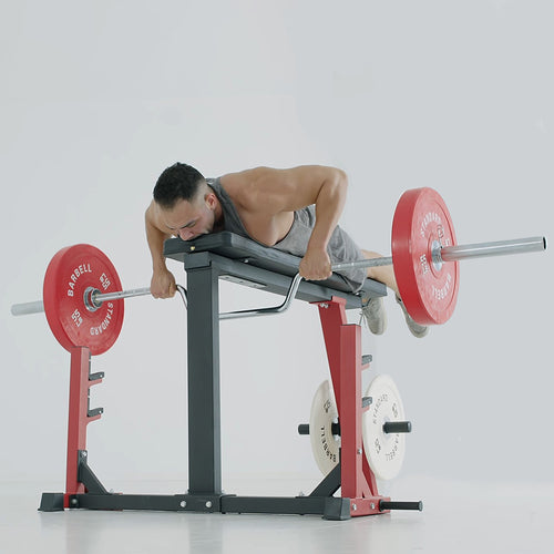 Adjustable Seal Row Bench for Back & LAT Training - GMWD