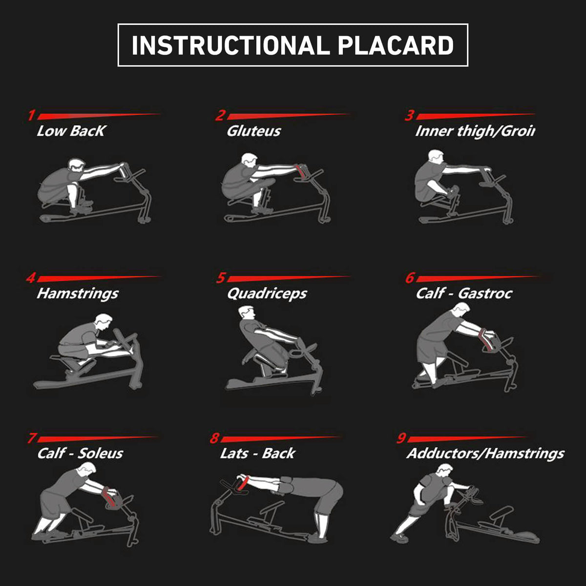 GMWD Stretching Machine Leg Back Body Hip Stretching Split Stretcher