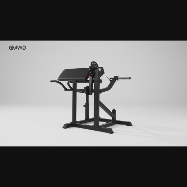 WJ00 2 in 1 Bicep Curl Tricep Extension Machine - GMWD